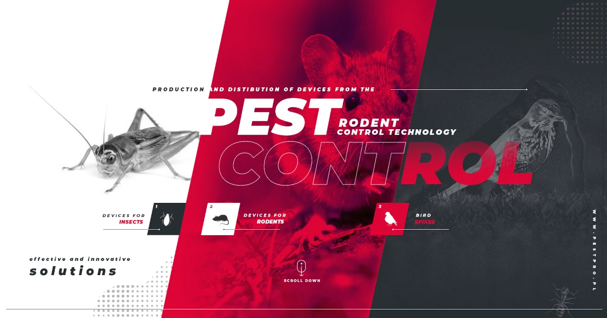 Rodent traps, insect traps and bird spikes